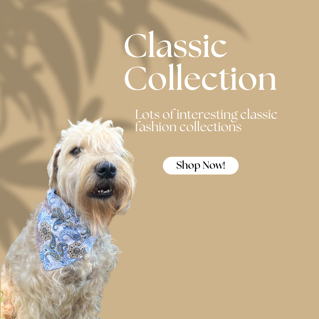 Classic Collection – Whimsydoodle Creations